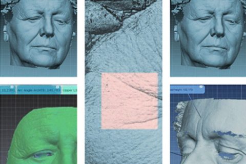 DR. GOYA INCORPORATES AEVA-HE